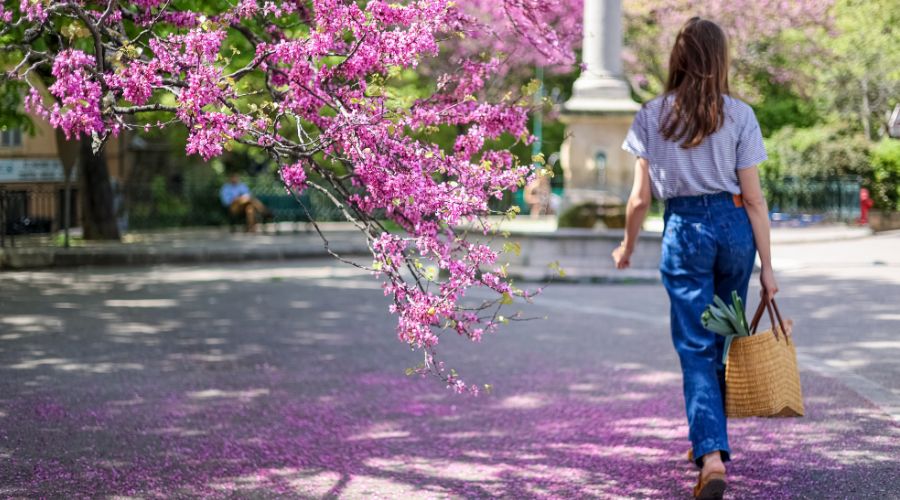 What to wear in Paris in Spring 2025 : An Insider’s Guide - The Velvet ...